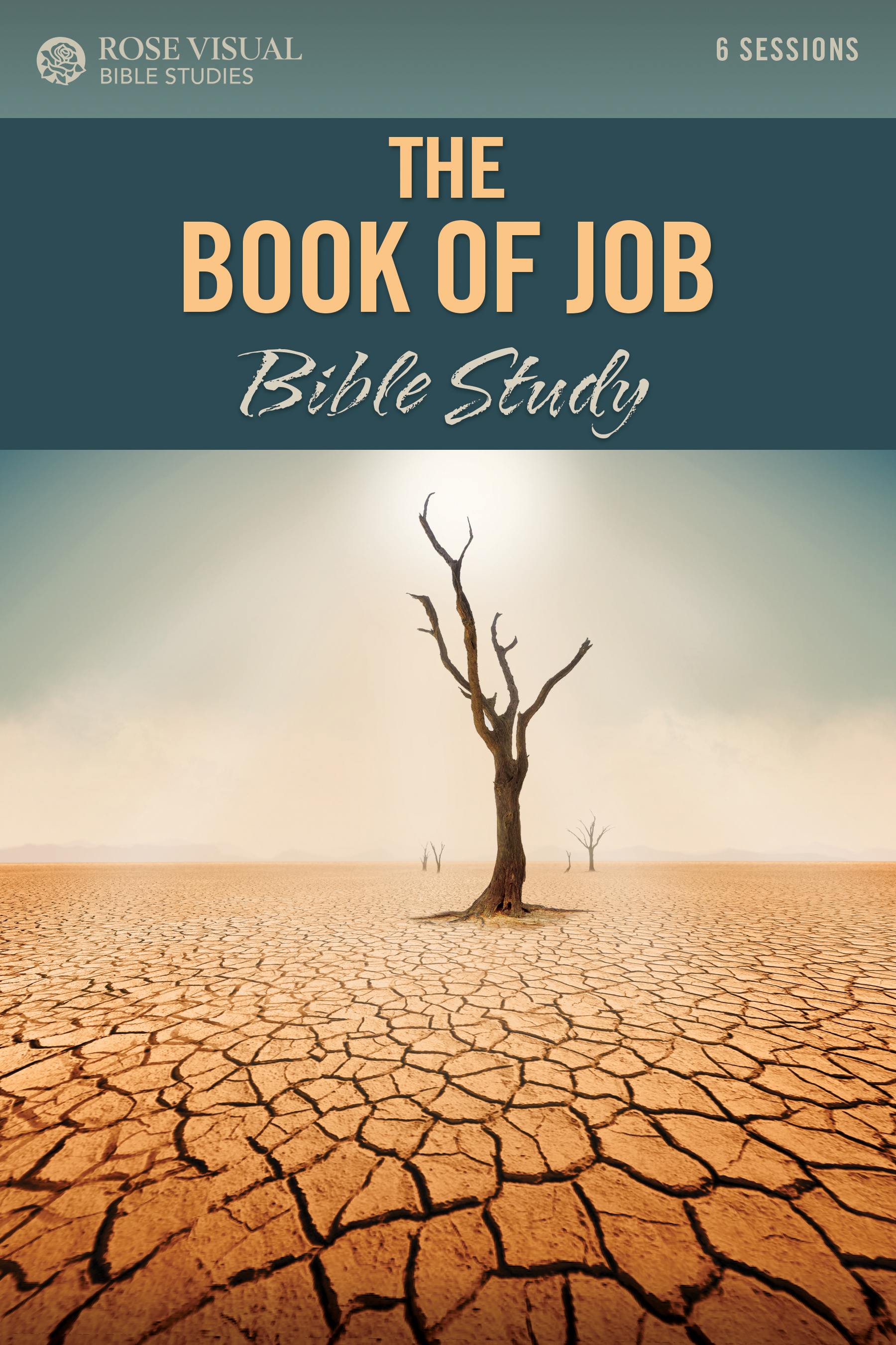 The Book of Job Bible Study | Church Connect