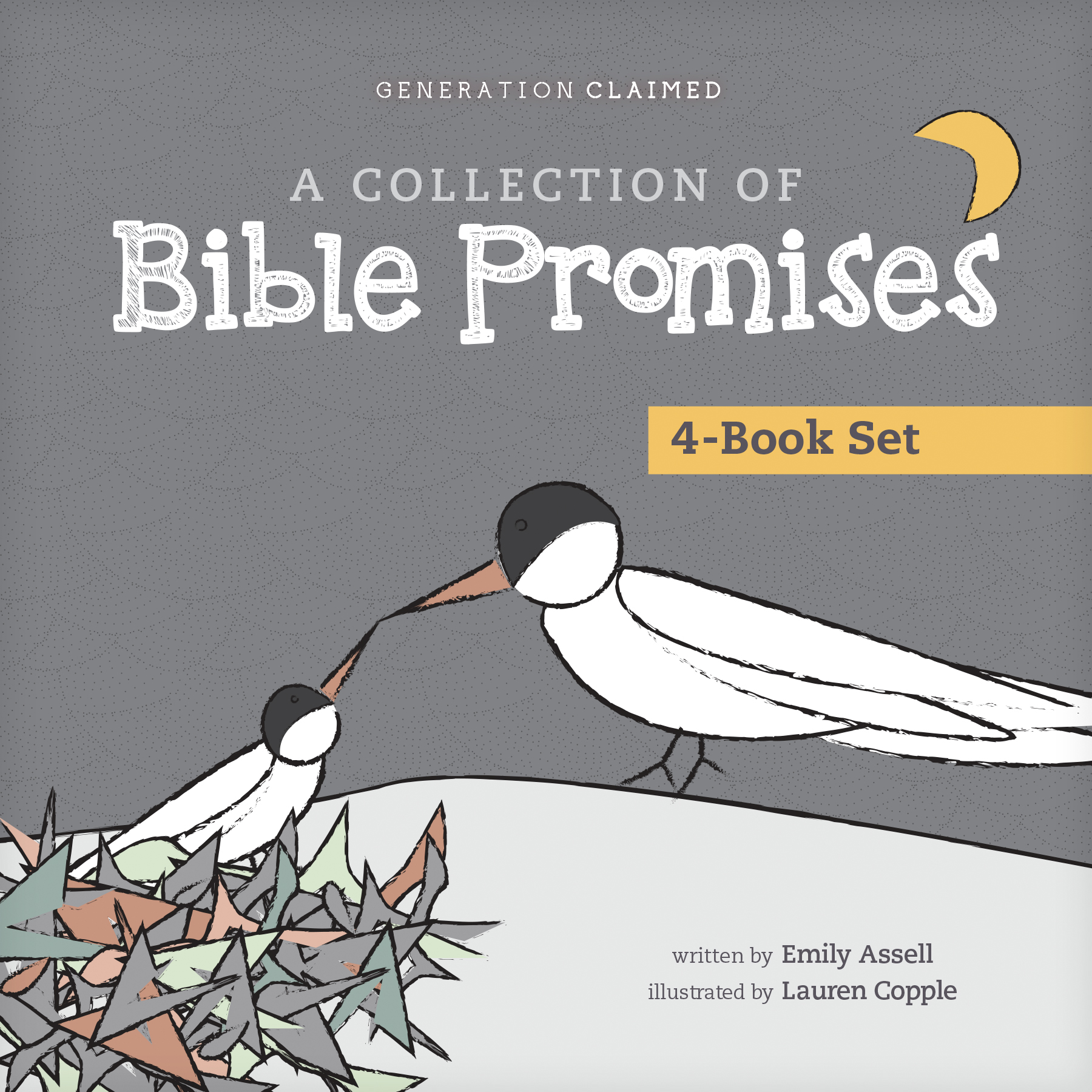 A Collection of Bible Promises 4-Book Set: When It Hurts / You Are ...
